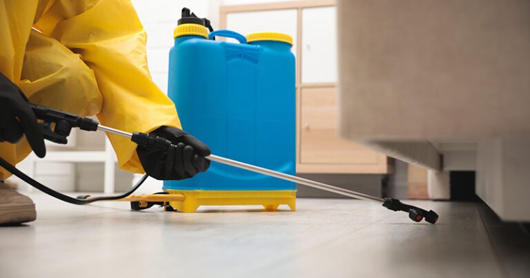 How to Start a Pest Control Business